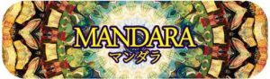 【白熱の頭脳戦】2人でできるゲームのおすすめ25選 | ぼくとボドゲ